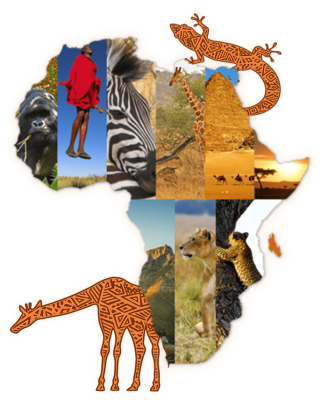 Tropicus World – Discover the World of Tropicus