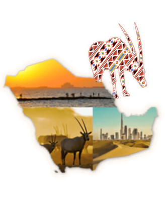 Tropicus World – Discover the World of Tropicus