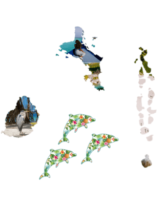 Tropicus World – Discover the World of Tropicus